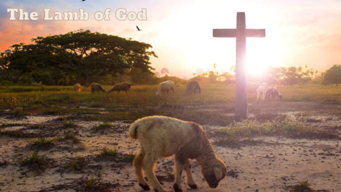 Sermons | Redemption Bible Church